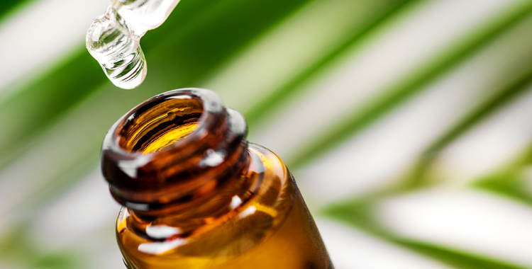 Why We Don’t Formulate with Essential Oils: A Deep Dive into Gentle Sk ...
